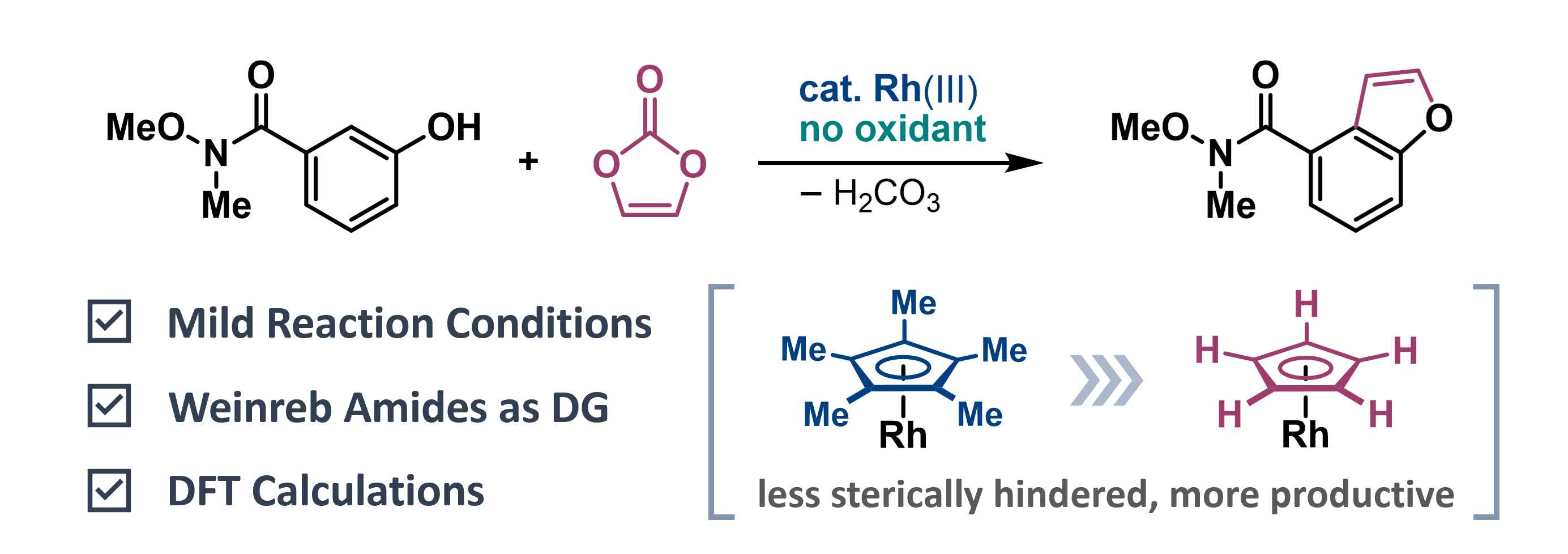 Yuji Nishii, Ph.D. The University of Osaka